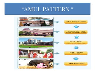 Consumer perception towards amul ppt | PPT