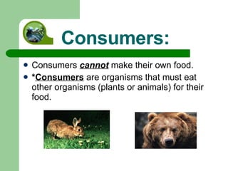 Consumers | PPT