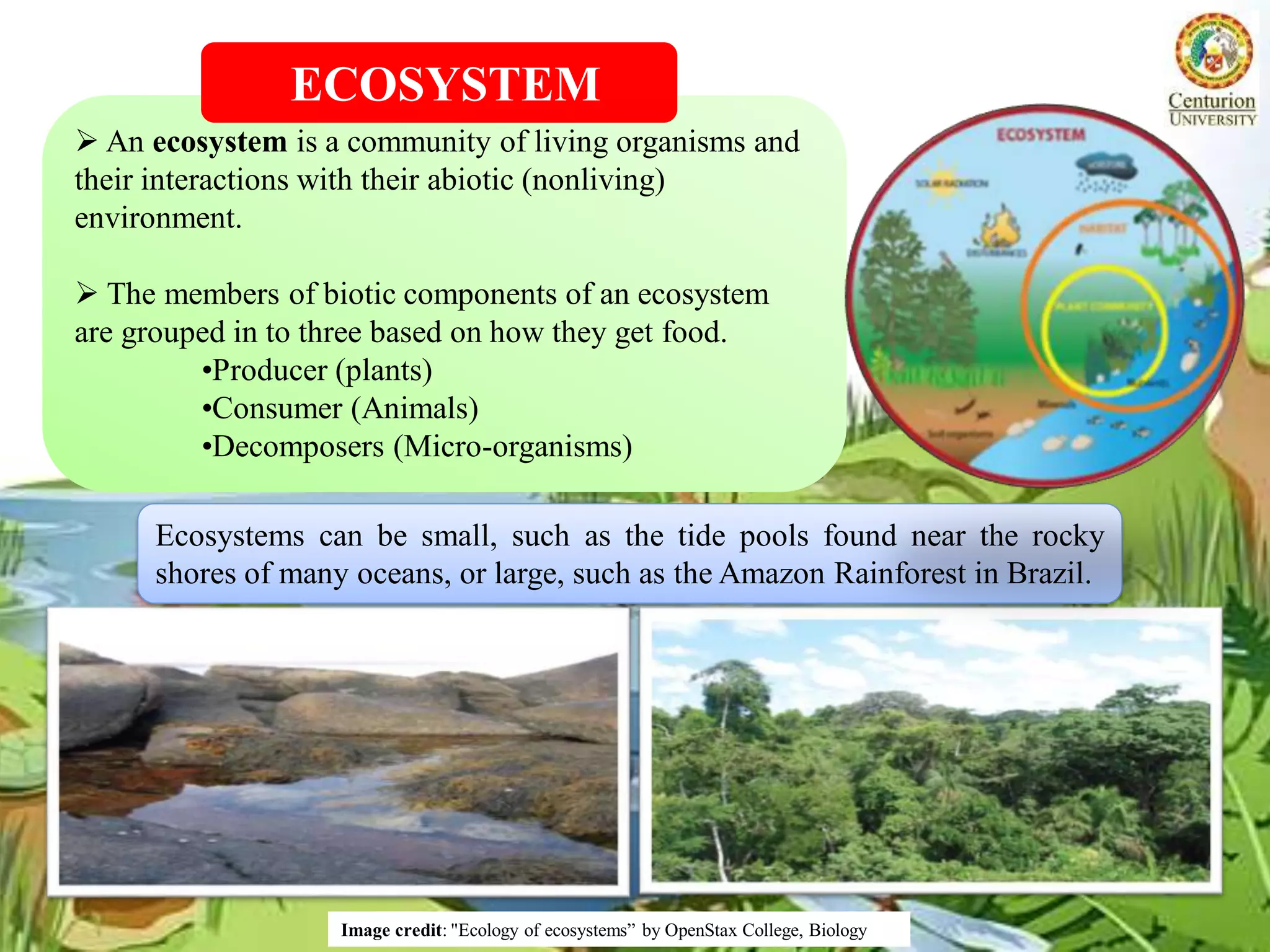 Consumers in ecosystem | PDF