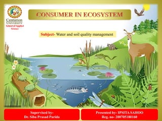 Consumer In Ecosystem