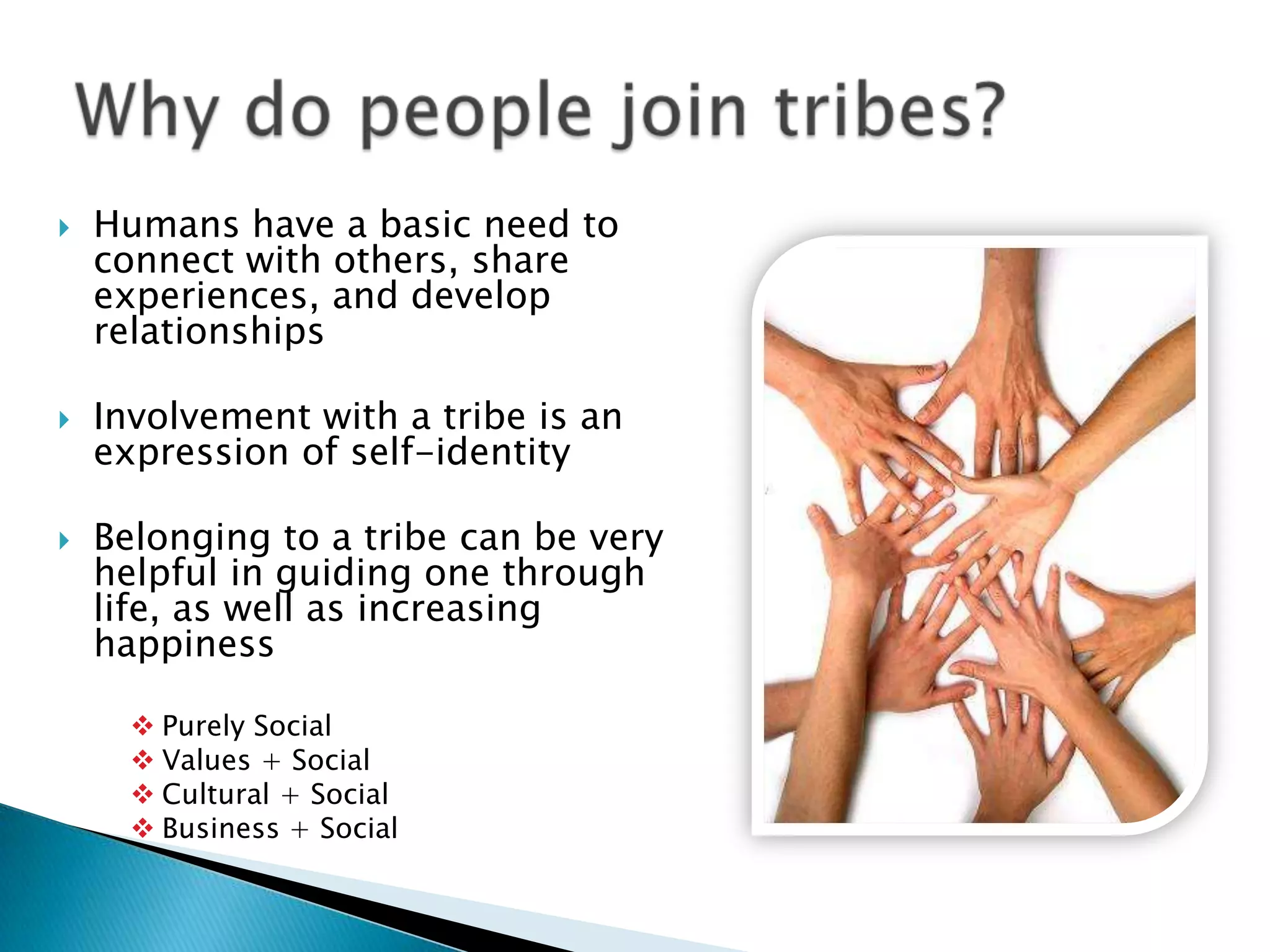 Consumer tribes and the benefits of marketing to them | PPT