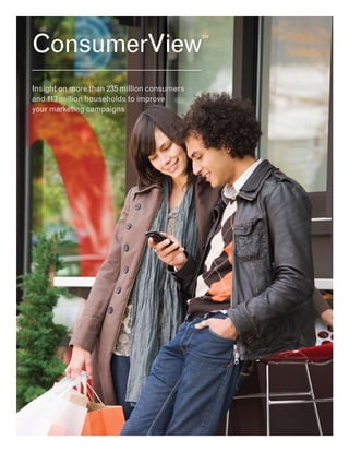Experian ConsumerView Brochure | PDF