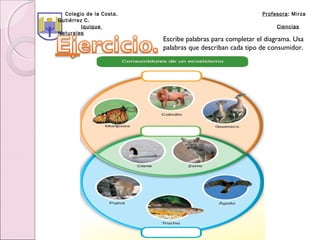 Consumidores,productores | PPT