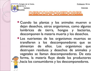 Consumidores,productores | PPT
