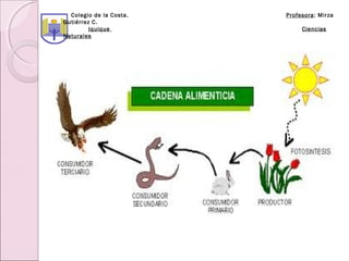 Consumidores,productores | PPT