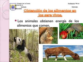 Consumidores,productores | PPT