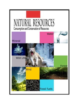 Consumption and conservation of natural resources | DOCX | Home ...
