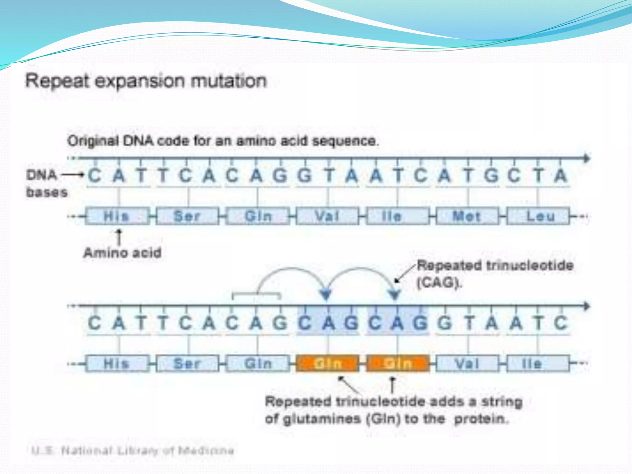 Lec-3 mutation and it types | PPT
