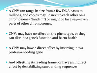 Lec-3 mutation and it types | PPT