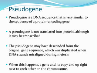 Lec-3 mutation and it types | PPT