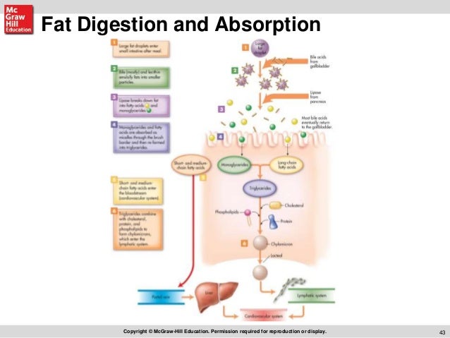 Cont10e u ch05_lecture