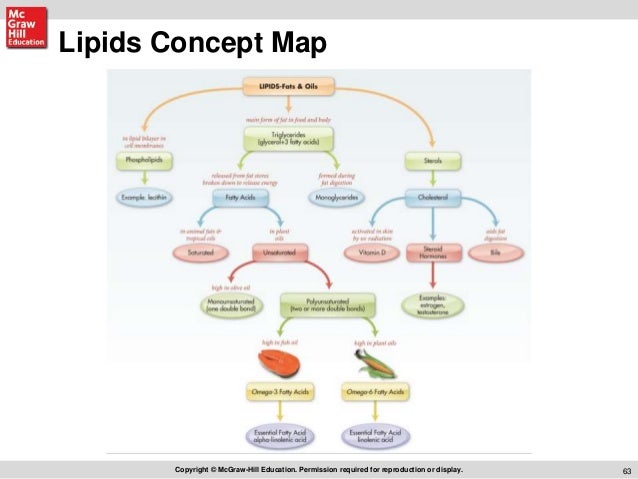 Lipids Concept Map Mcgraw Hill