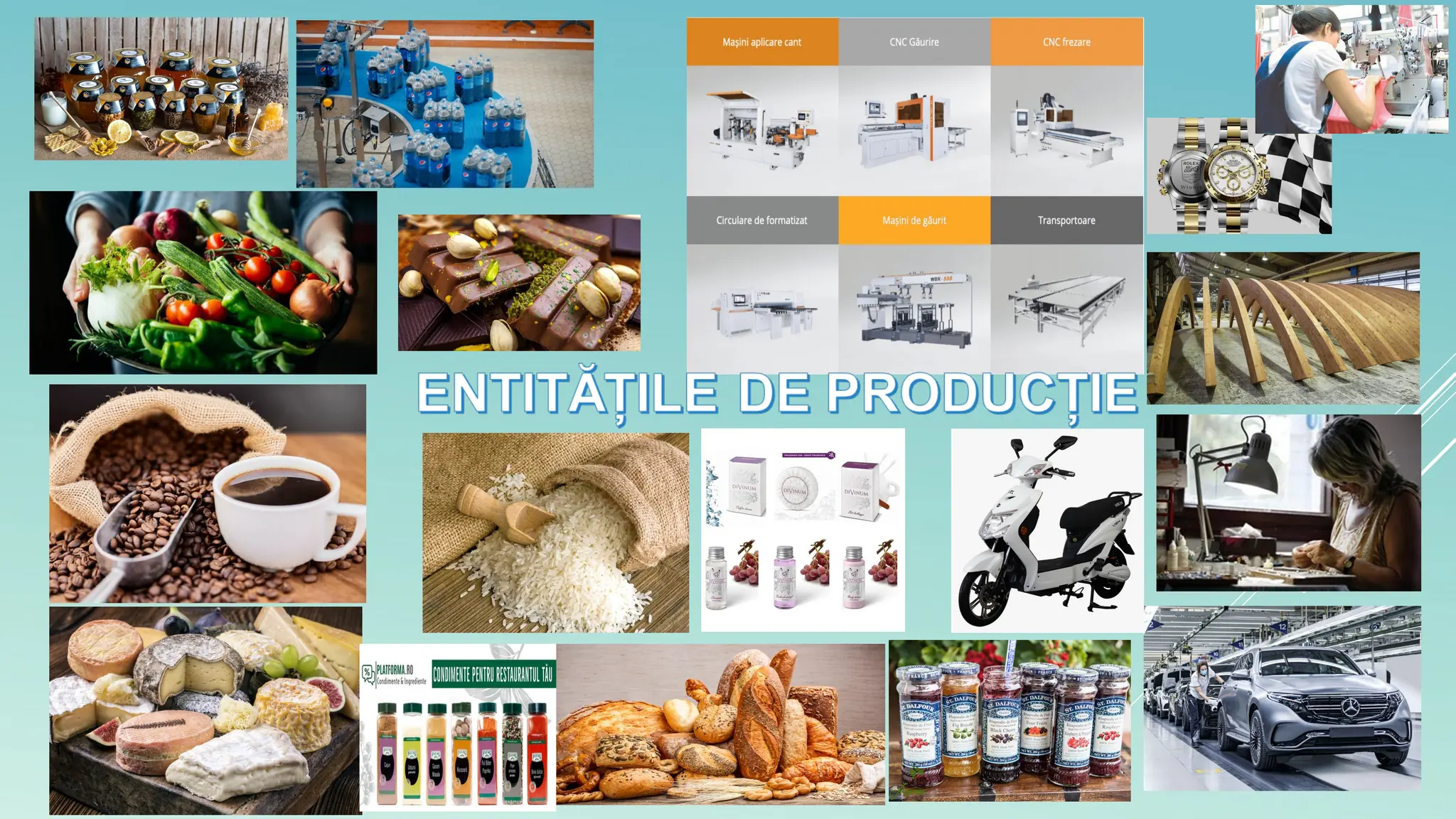 Contabilitatea_soc_com - tipologie entitati | PPT