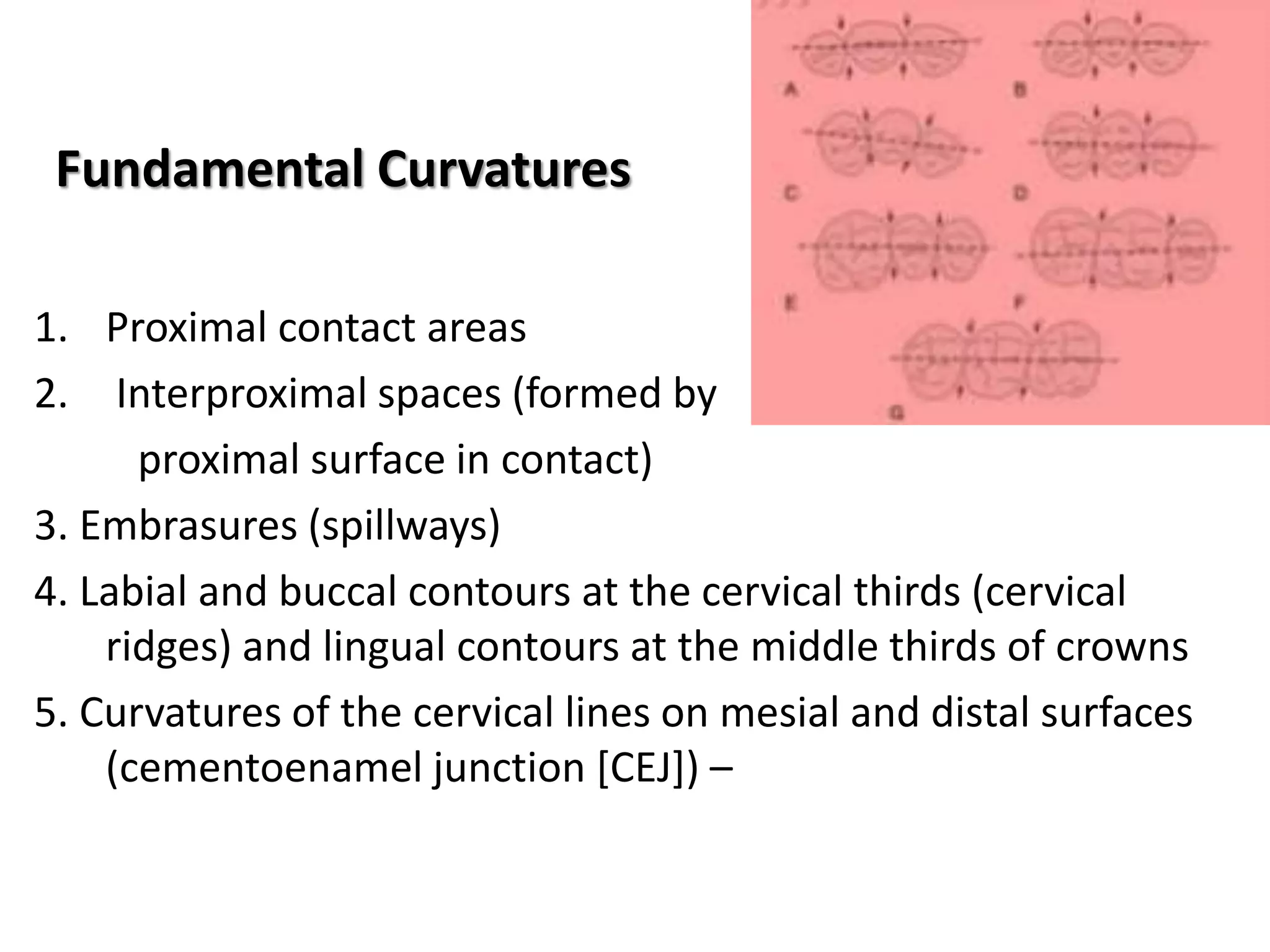 Contact and contours | PPTX