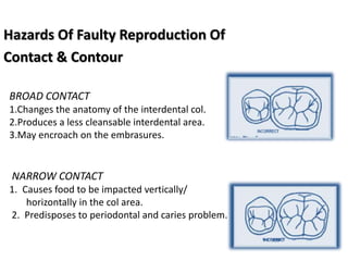 Contact and contours | PPTX