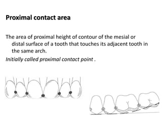Contact and contours | PPTX