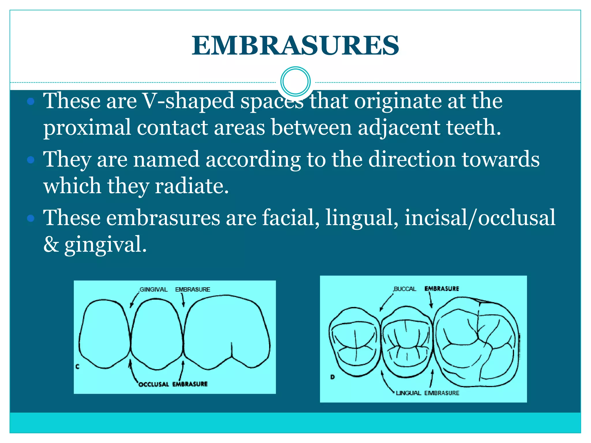 Contact & contour | PPTX