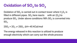 Contact Process | PPTX