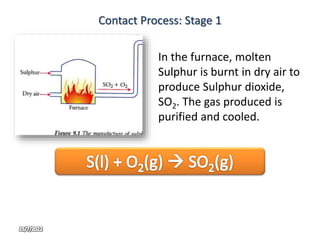 The contact process.pptx