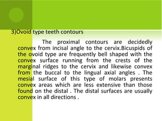 Contacts and contours | PPT