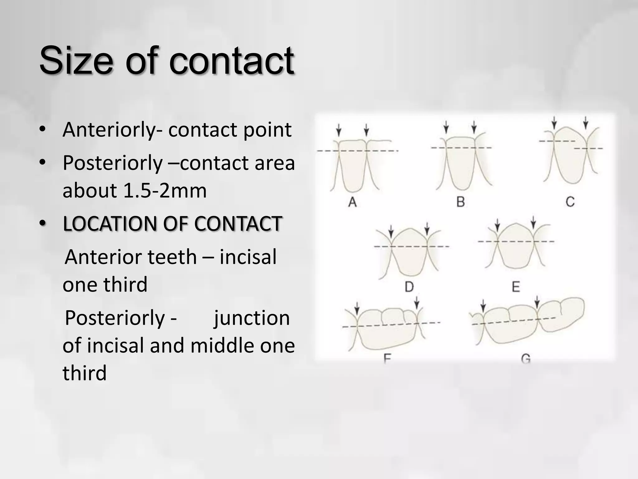 Contacts and contours | PPTX