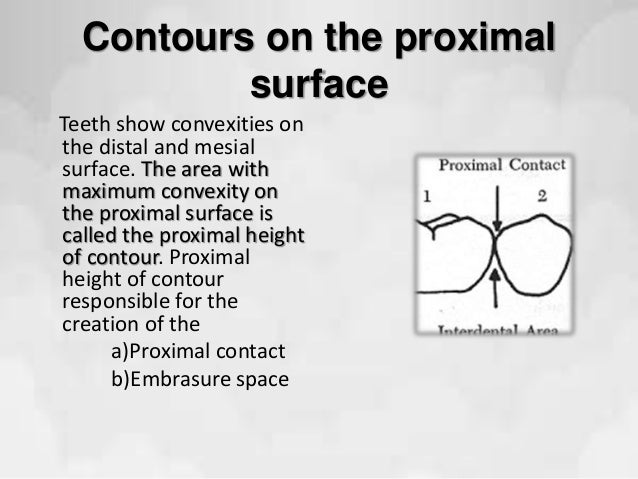 Contacts and contours