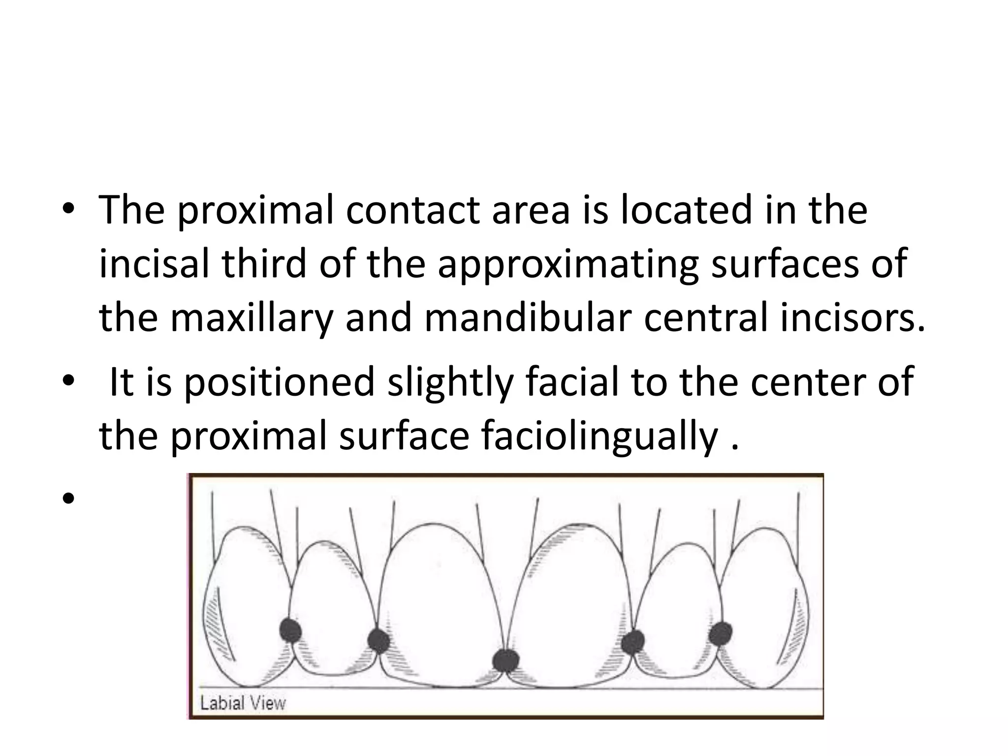 Contacts and Contours | PPTX