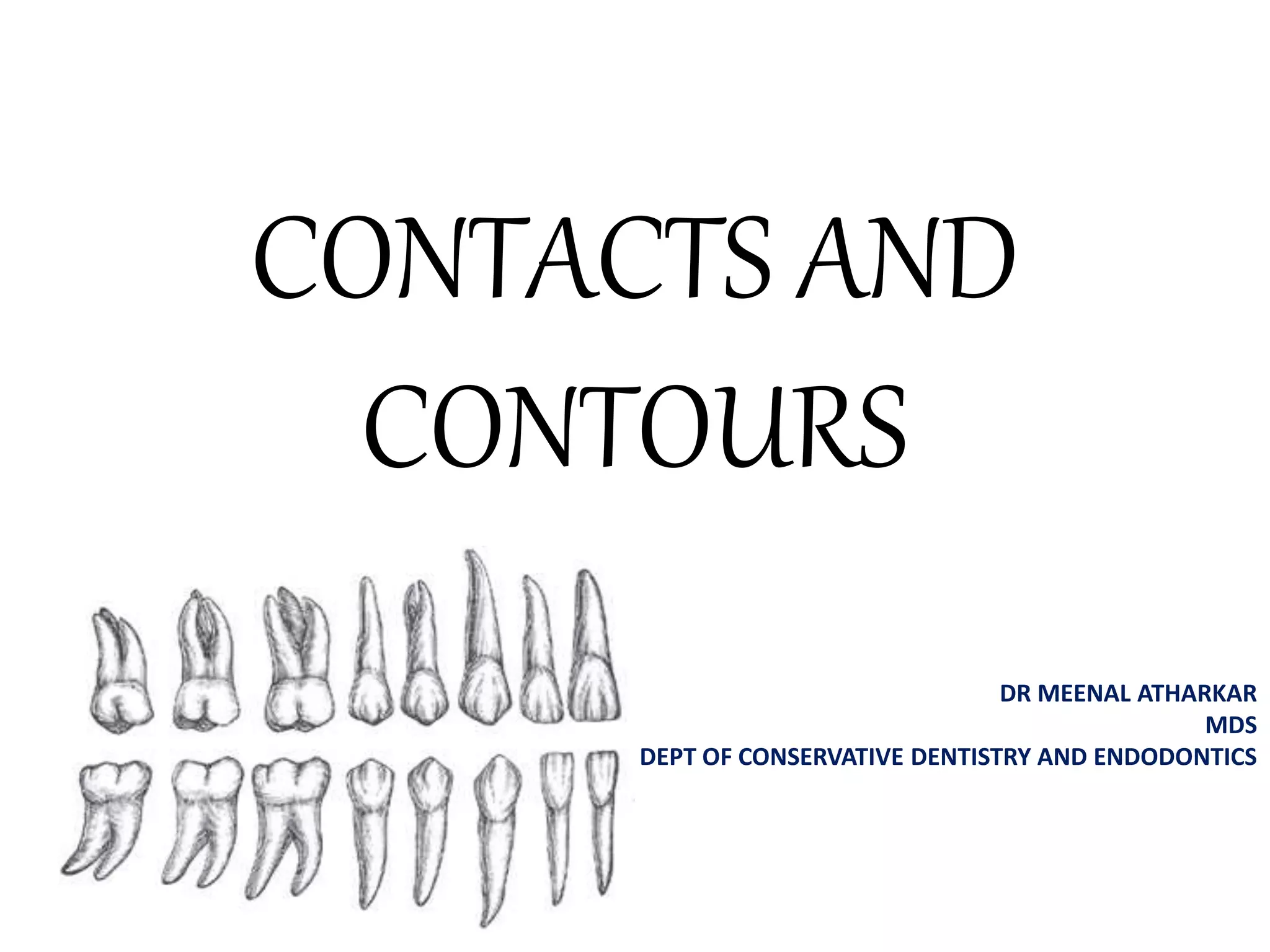 Contacts and Contours | PPTX