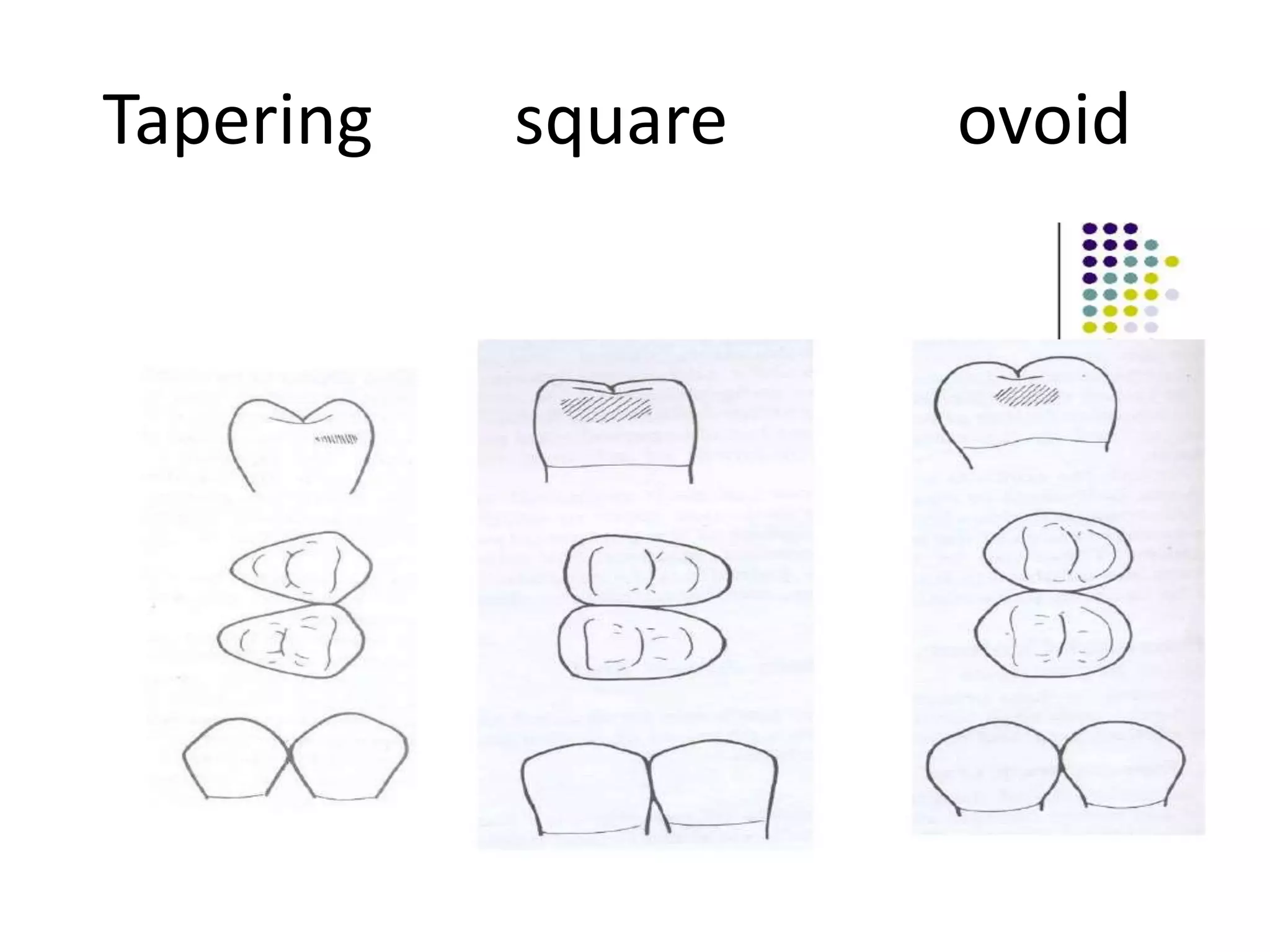 Contacts and Contours | PPTX
