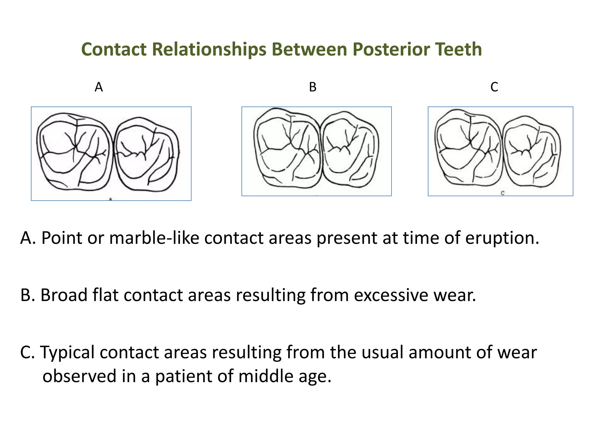 Contacts and Contours | PPTX