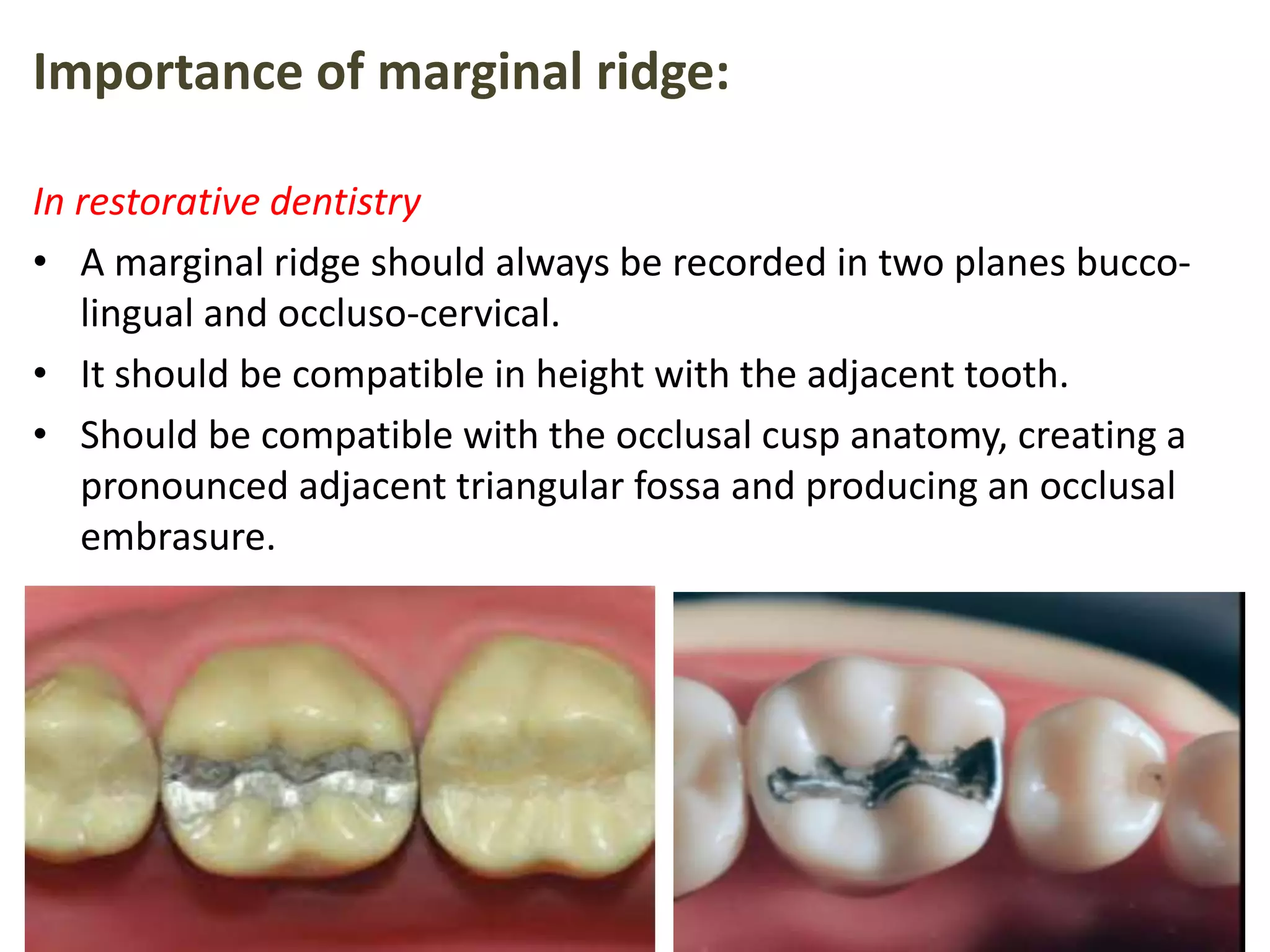Contacts and Contours | PPTX