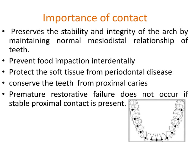 Contacts and Contours | PPTX | Dental Health | Diseases and Conditions