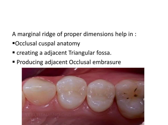 Contacts and Contours | PPTX | Dental Health | Diseases and Conditions
