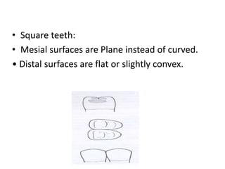 Contacts and Contours | PPTX