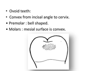 Contacts and Contours | PPTX