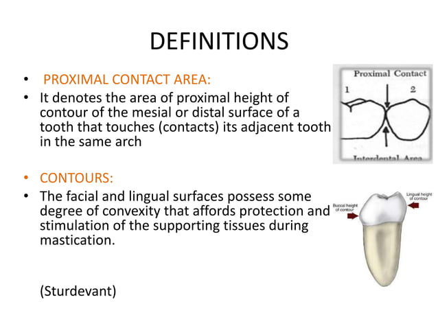 Contacts and Contours | PPTX | Dental Health | Diseases and Conditions