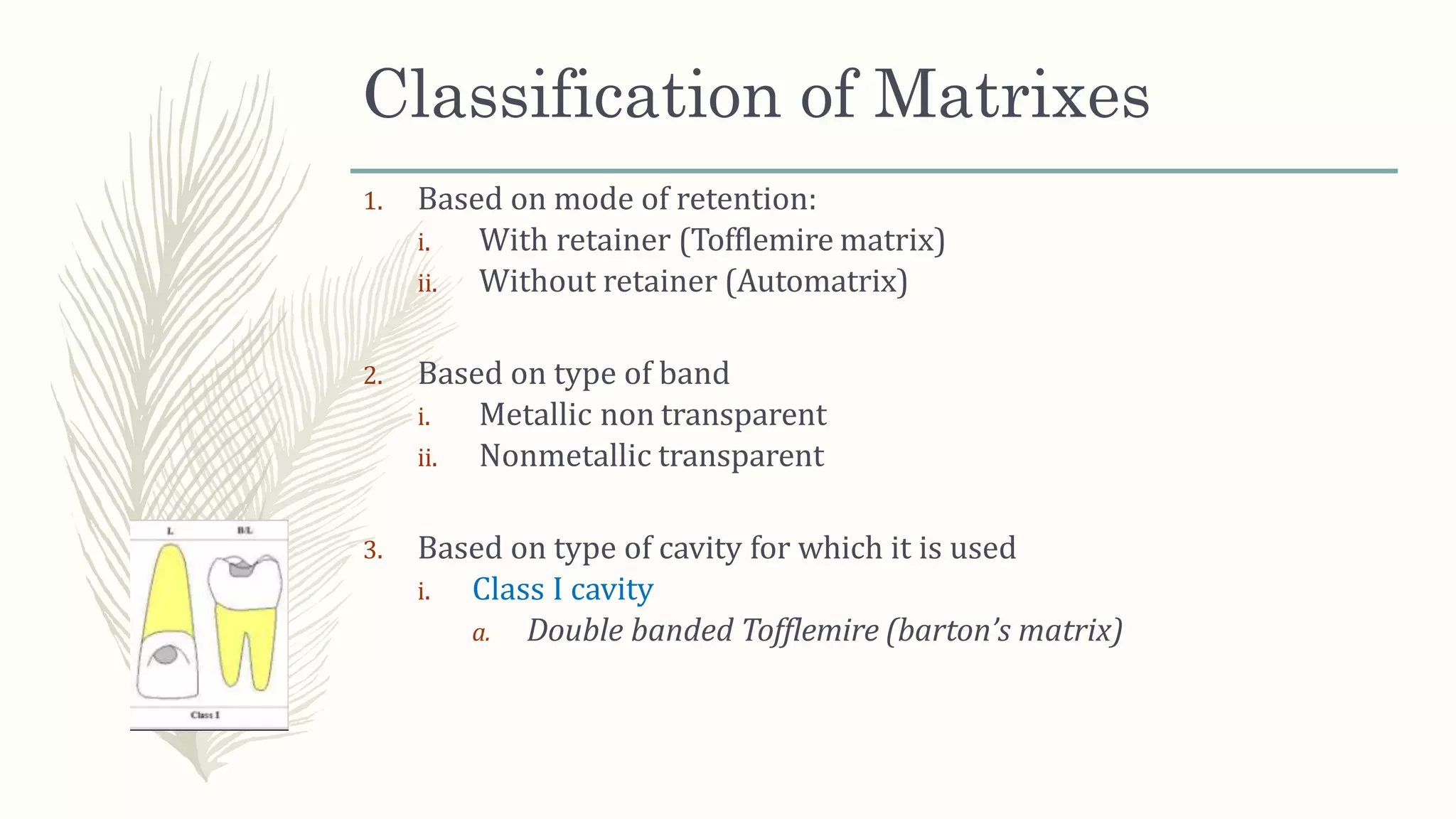 Contacts and Contours in Conservative Dentistry | PPTX