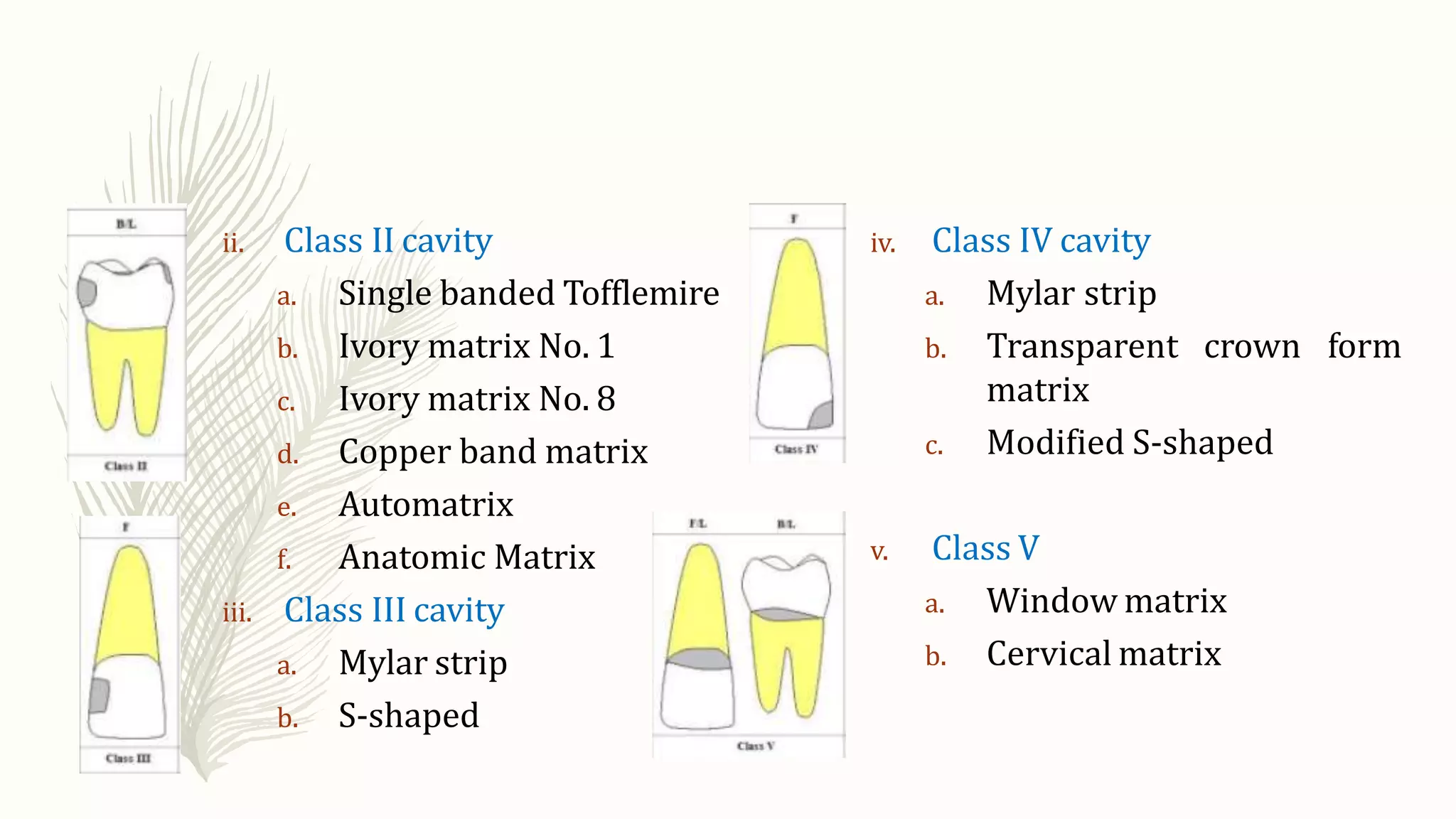 Contacts and Contours in Conservative Dentistry | PPTX