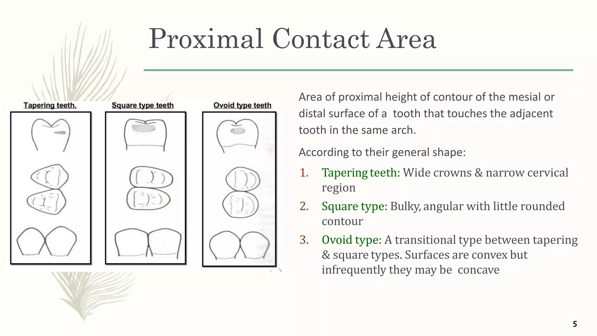Contacts and Contours in Conservative Dentistry | PPTX