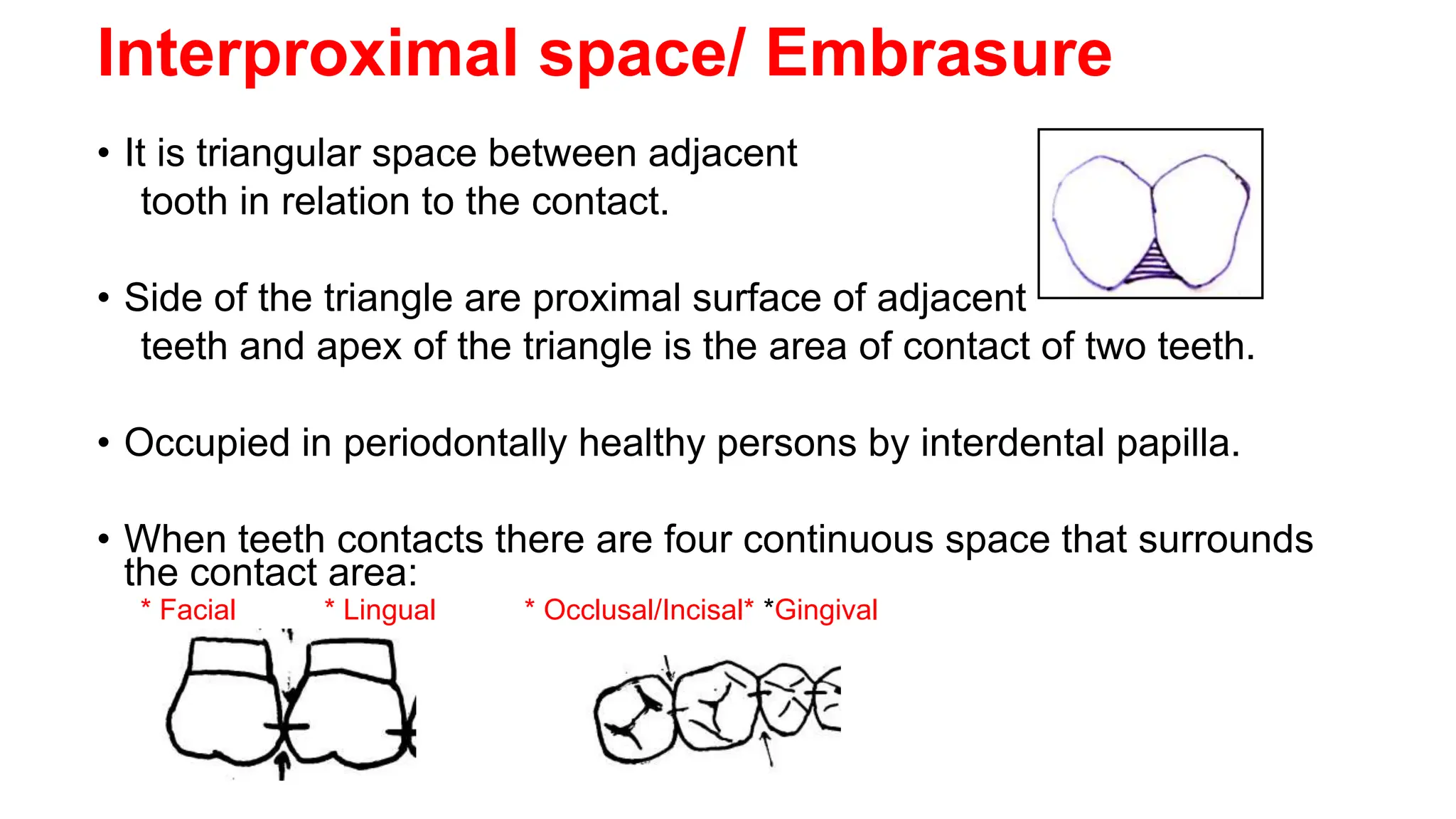 contacts and contours seminar.pptx endodontics | PPTX