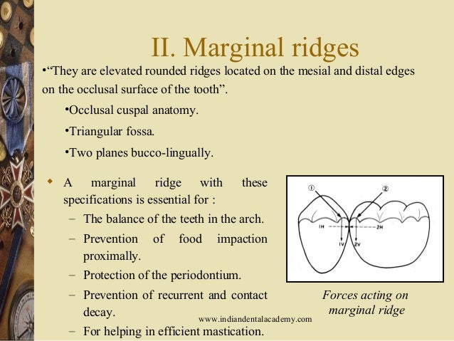 Contacts & contours/ practice dentistry