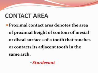 Contacts & Contours | PPTX