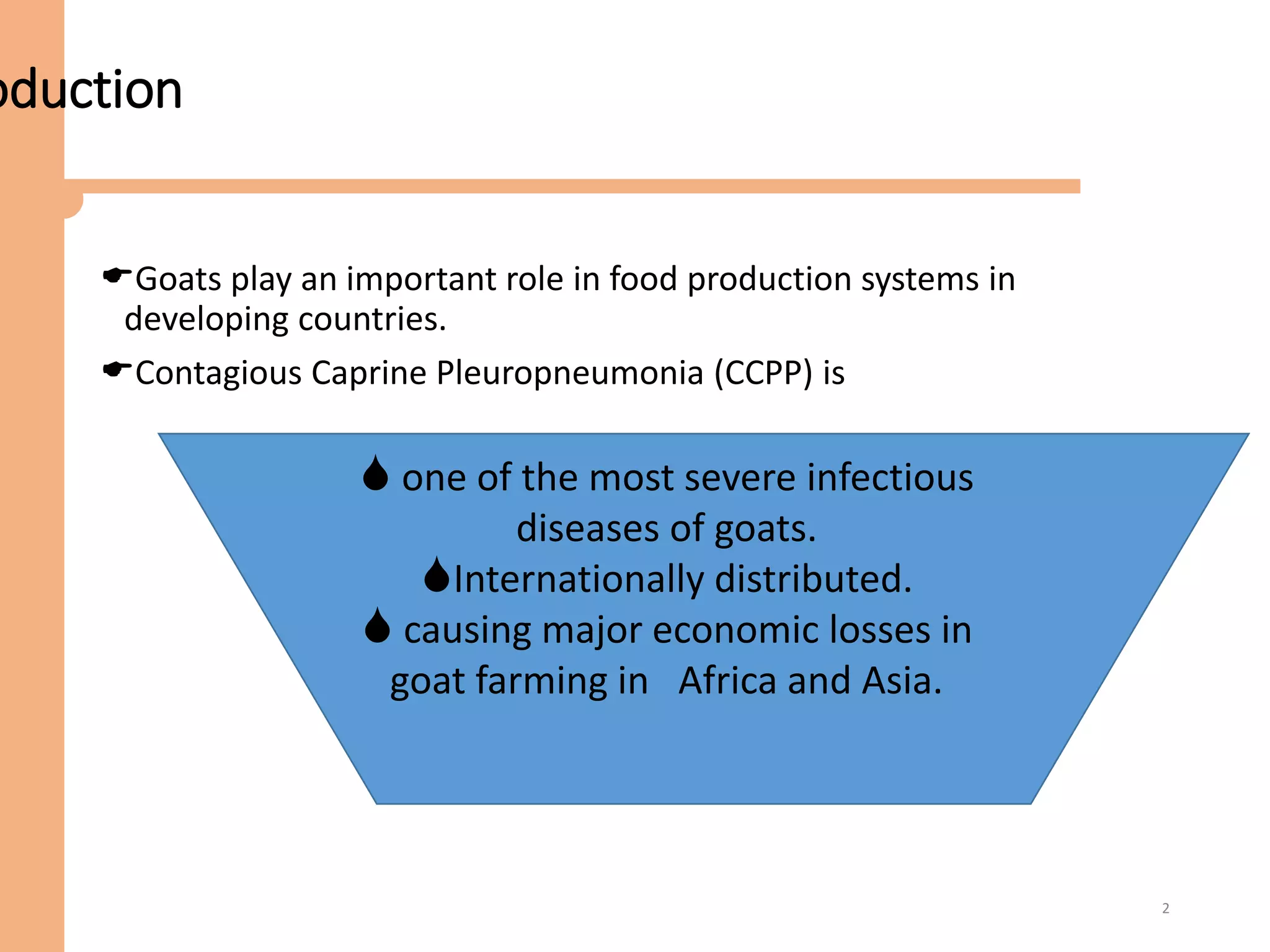 Contagious caprine pleuropneumonia (Xanuunka Sanbabka ariga) | PPTX