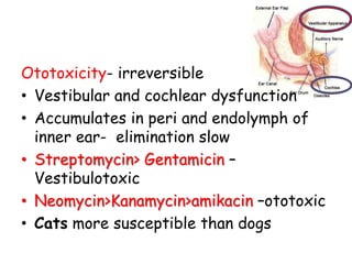 Antibiotics contraindicated in dogs & cats | PPT