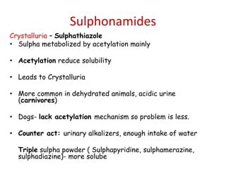 Antibiotics contraindicated in dogs & cats | PPT
