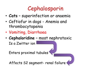 Antibiotics contraindicated in dogs & cats | PPT