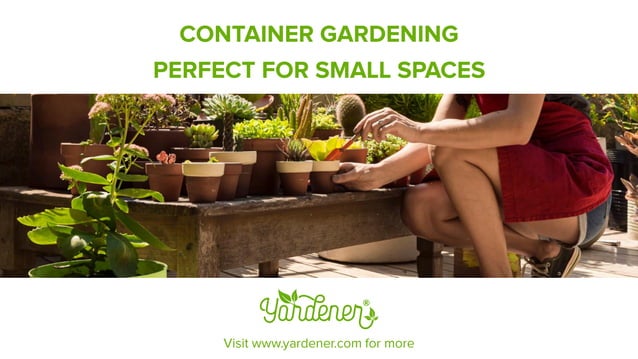 Container Gardening: Perfect for Small Spaces | PDF
