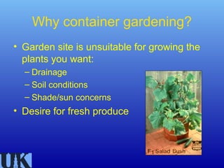 Container gardening with script | PPT