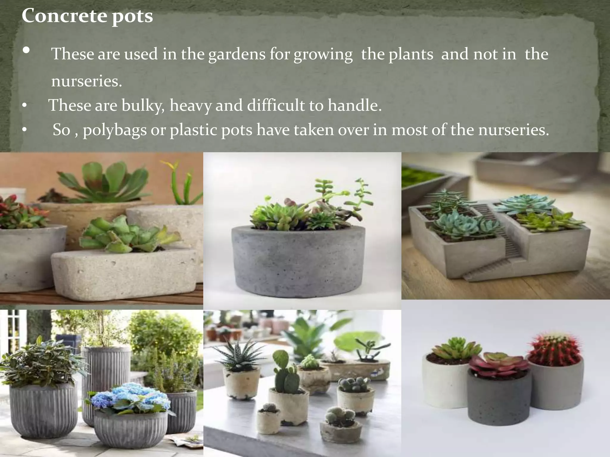 PLANT CONTAINERS AND NURSERY EQUIPMENTS | PPTX