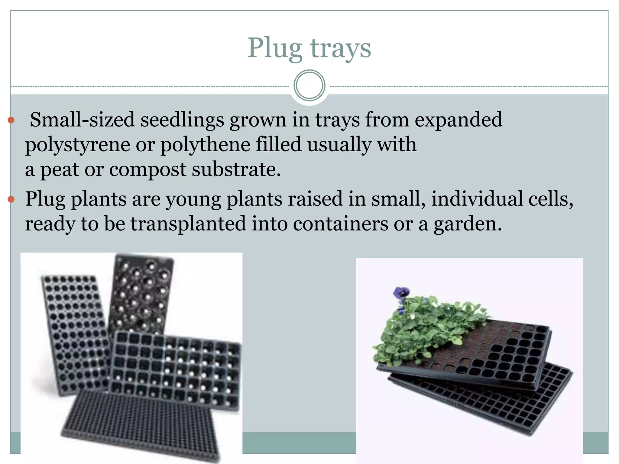 PLANT CONTAINERS AND NURSERY EQUIPMENTS | PPTX